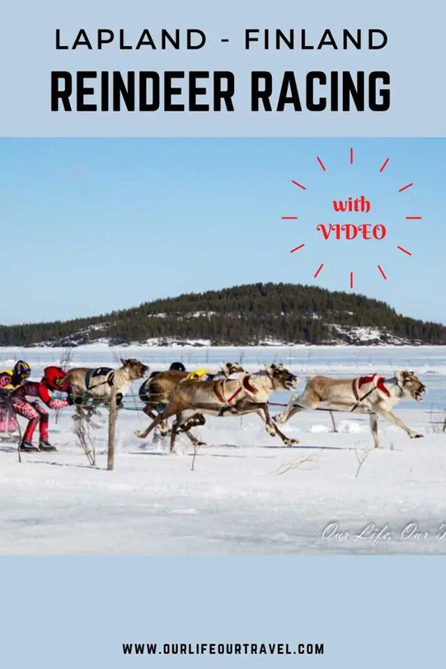 Reindeer Racing in Finland and Around the World - Our Life, Our Travel